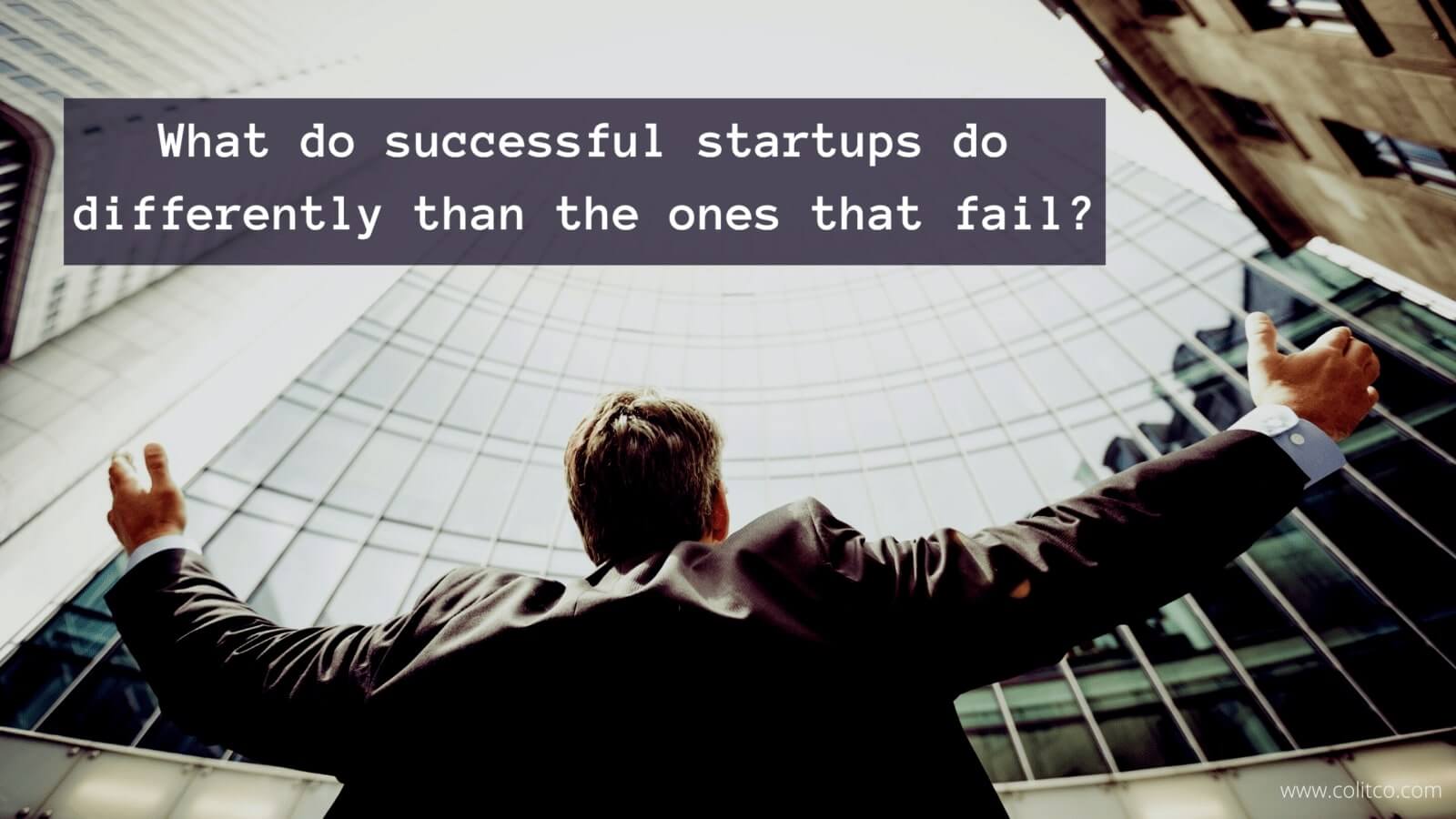 What do successful startups do differently than the ones that fail?