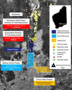 Platina begins an exploration of the recently acquired Beete and ...
