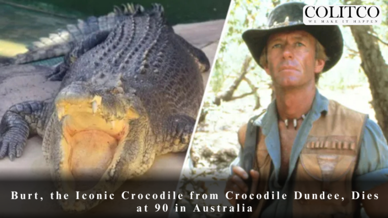 Burt, the Iconic Crocodile from Crocodile Dundee, Dies at 90 in ...