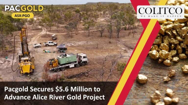 Business News And Success Stories - Colitco